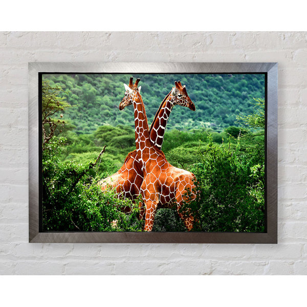 Bright Star Giraffes Africa - Single Picture Frame Art Prints | Wayfair.co.uk